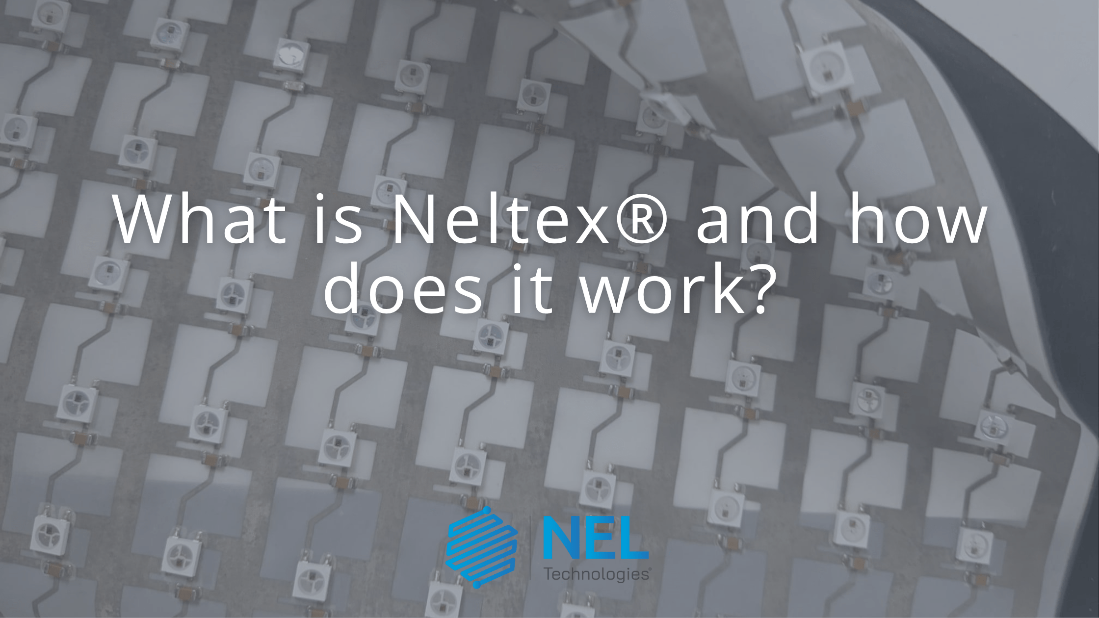 What is Neltex® and How Does It Work? | NEL Technologies